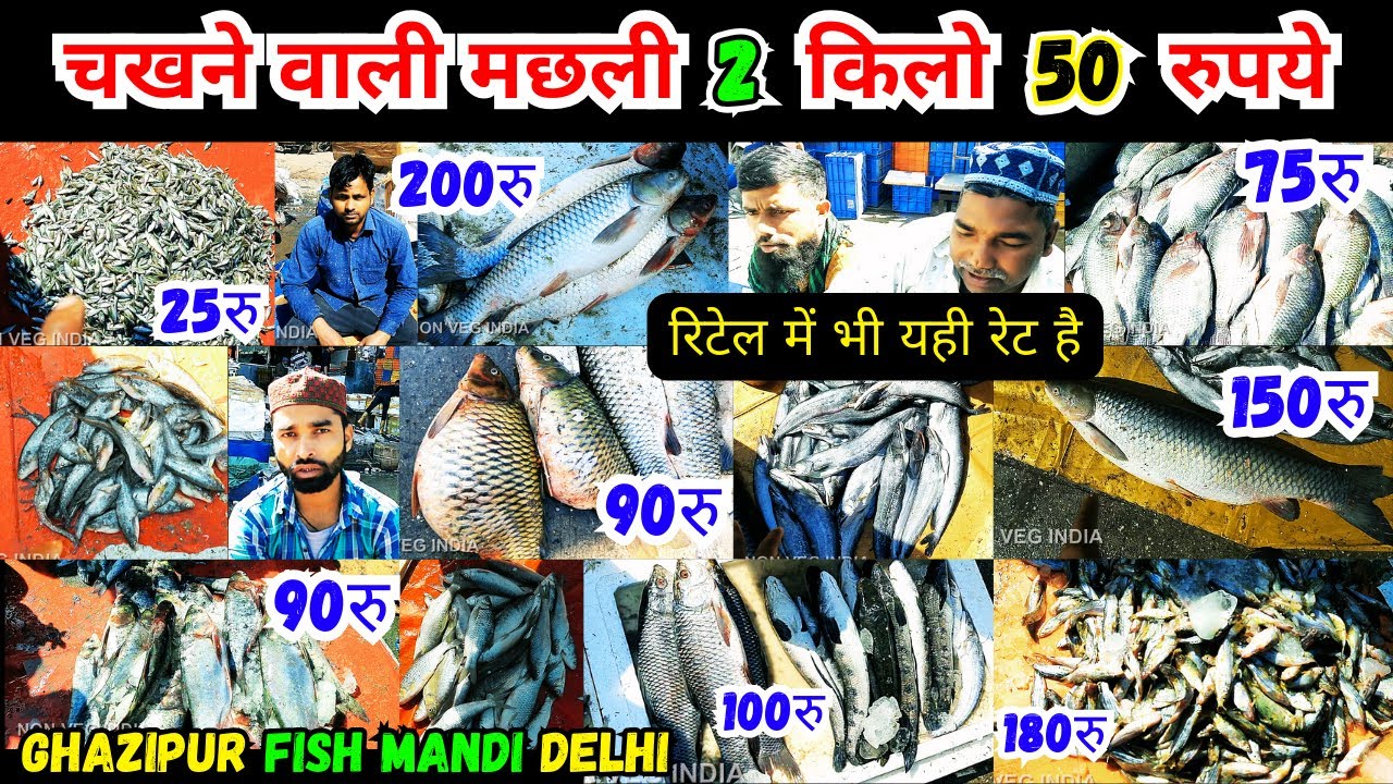25 Rupay Kg Fish | Wholesale Fish Market Delhi | Chep & Best Fish ...