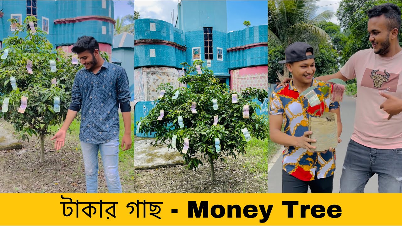 টাকার গাছ - Money Tree || Bangla Funny Video || টাকা গাছে ধরে - YouTube
