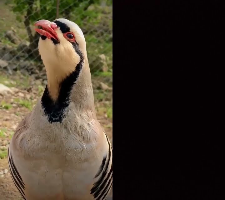 May 11, 2025 - YouTube