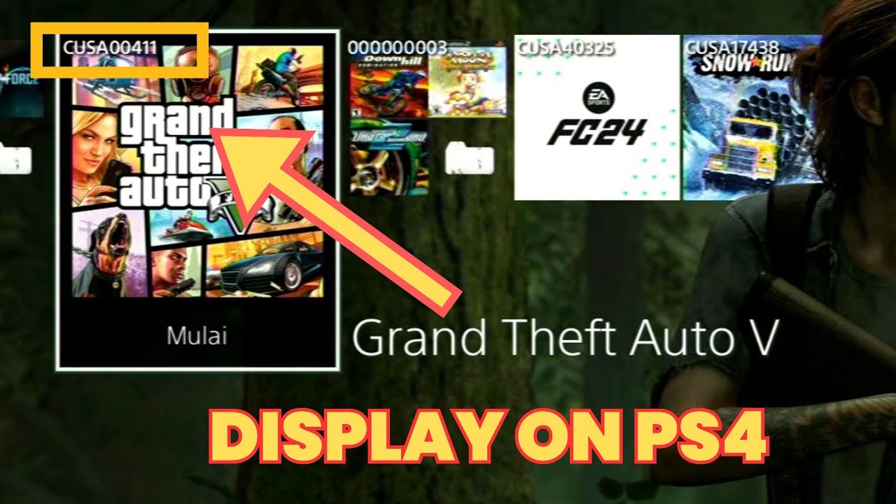 How To Display Region Game On PS4 HEN - YouTube