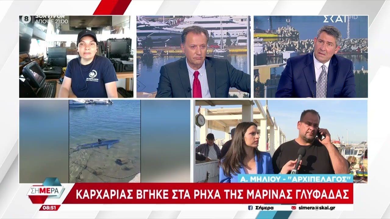 Καρχαρίας στη Γλυφάδα: Τι λένε αυτόπτης μάρτυρας αλιέας, αλλά και ...