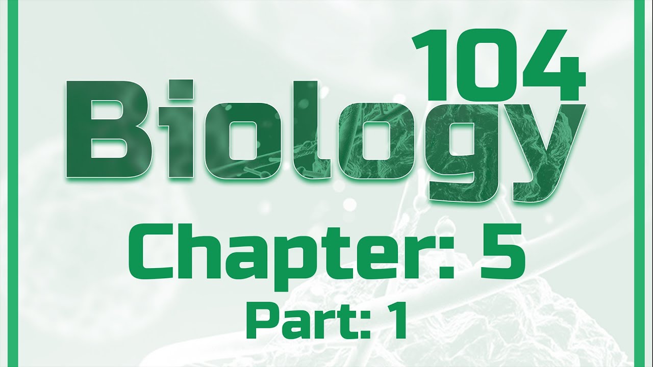Biology || Chapter 5 (Part 1) || Abdullah Ramadan - YouTube
