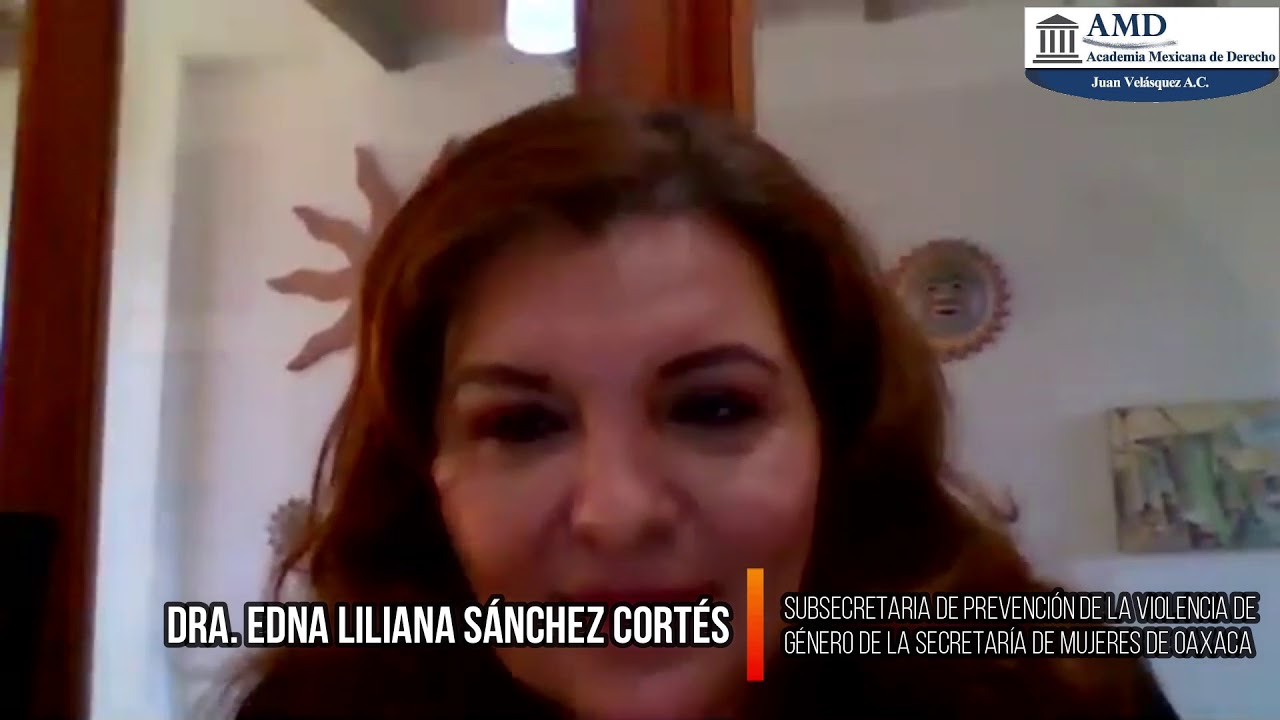 "Marco Constitucional de la protección a víctimas de género ante el ...