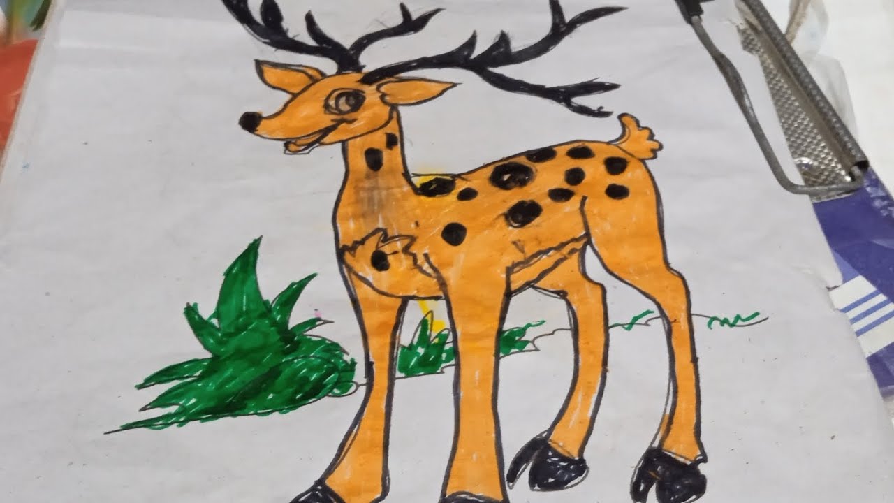 hiran easy drawing learn for kids how to draw a #hiran in easy style ...