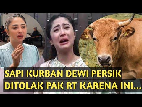 DEWI PERSIK, SAPI KURBANNYA DITOLAK PAK RT. BEGINI KRONOLOGINYA. - YouTube