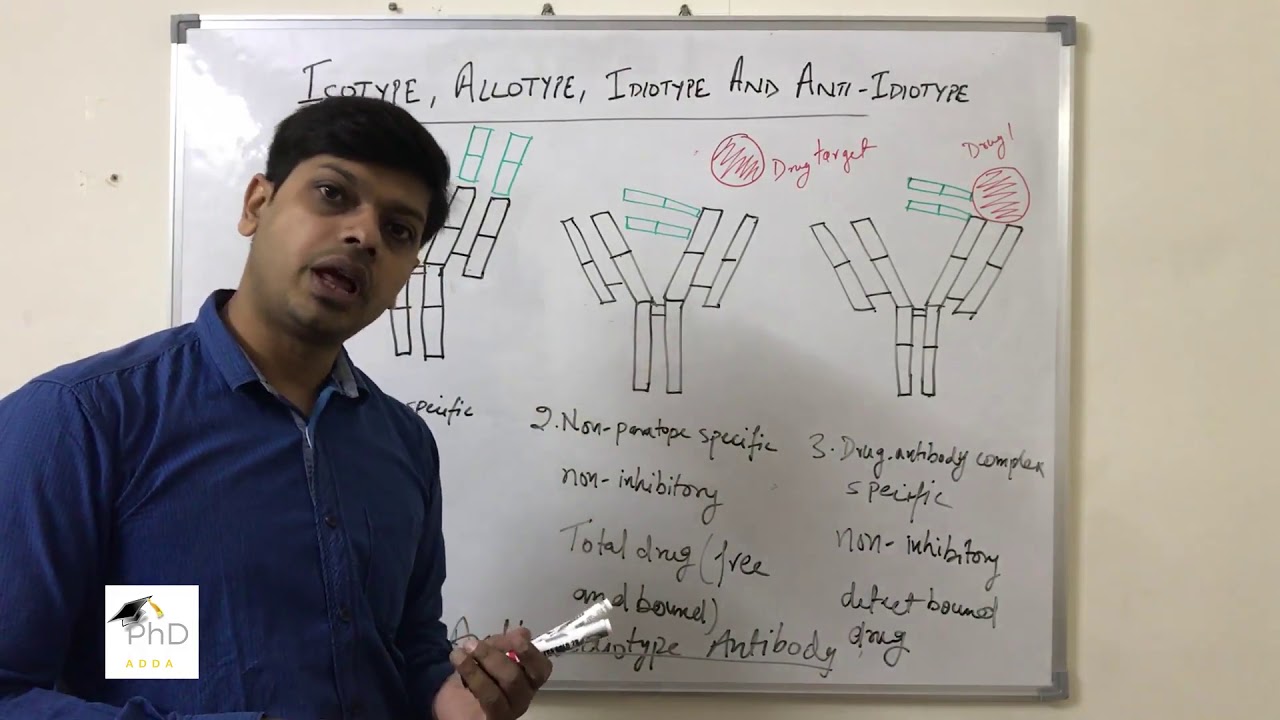 Isotype, allotype, idiotype and anti idiotype antibodies by Dr. Vipin ...