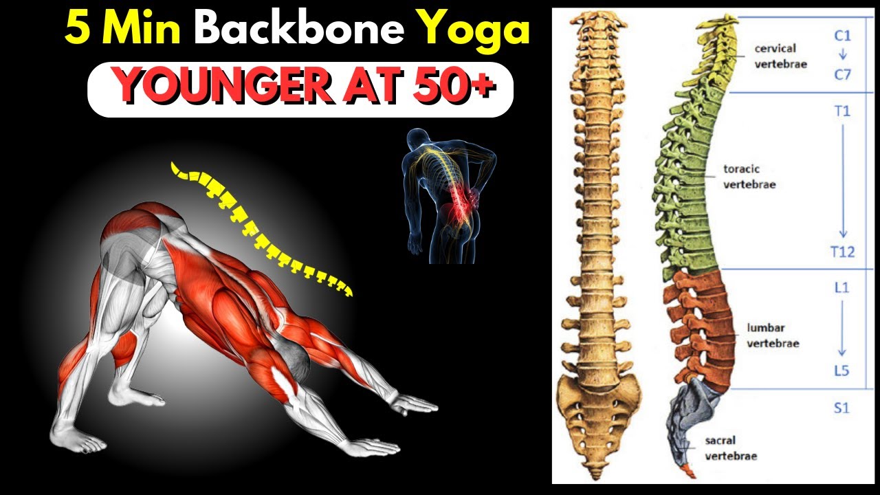 Flexible Backbone Yoga to Look Younger - YouTube