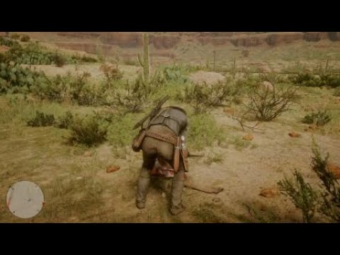RDR2: Two bucks with locked antlers (Results in perfect deer pelt ...
