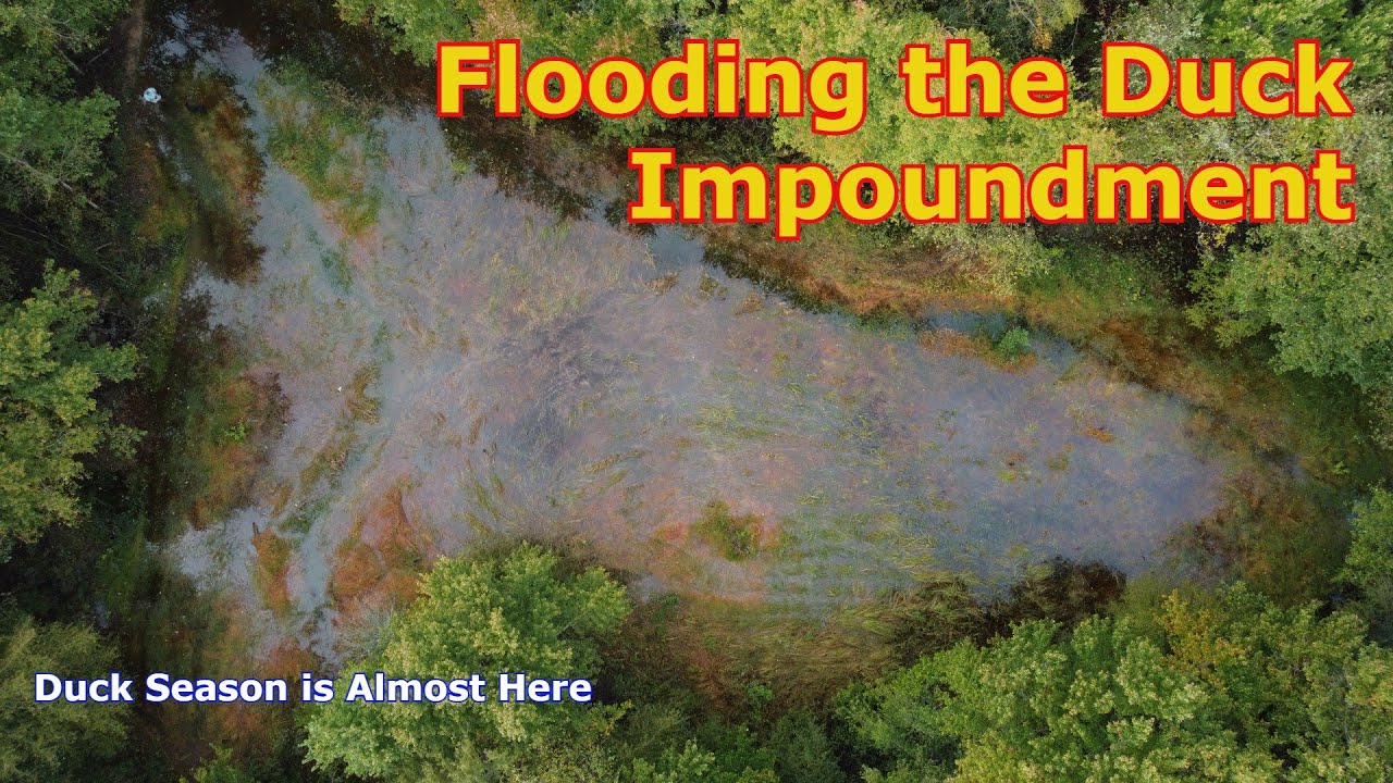 Time to Flood my Duck Impoundment | Duck Hunting - YouTube