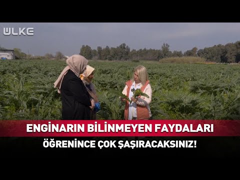 Enginarın Duyunca Çok Şaşıracağınız Faydaları... #TopraktanSofraya