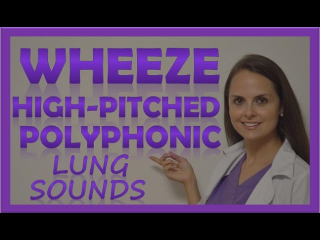 Udine Rhonchi Breath Sounds RSV In Babies & Children: Symptoms, Causes