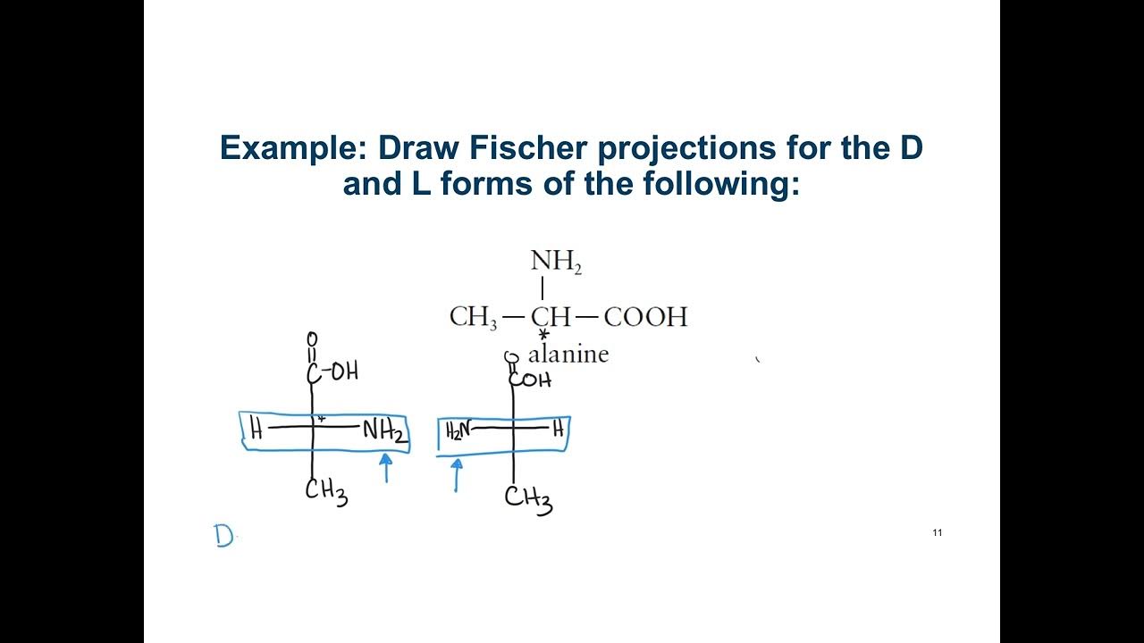 Ch17 Fischer Projections - YouTube