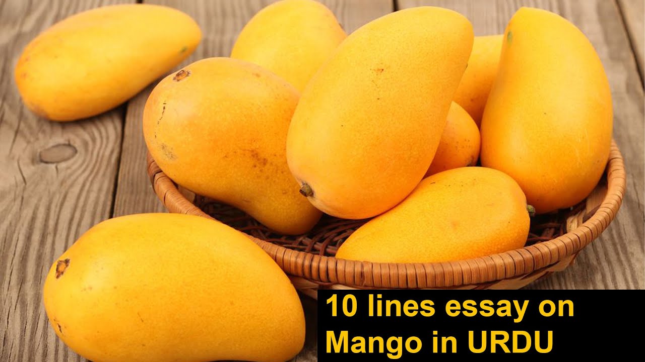 10 lines essay on Mango in URDU | Why are Pakistani mangoes so good ...
