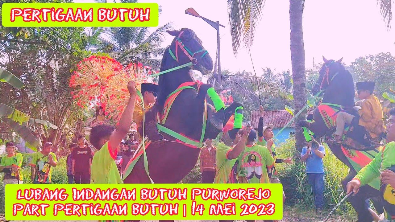 Khataman Lubang Indangan Butuh Purworejo Part Lanjutan 14 Mei 2023 Arak ...