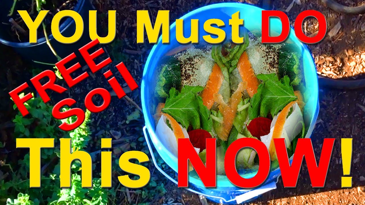 How To Make FREE Garden Soil, Container Gardening, Growing In Bucket ...
