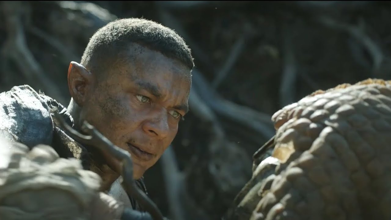 Arondir vs Orcs and the Warg | The Lord of the Rings: The Rings of ...