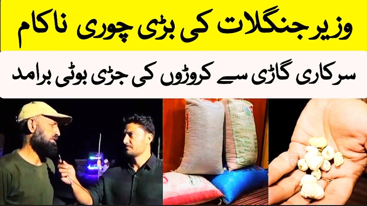 Inside Pakistan's War On Smugglers | Latest News Pakistan | Headlines ...