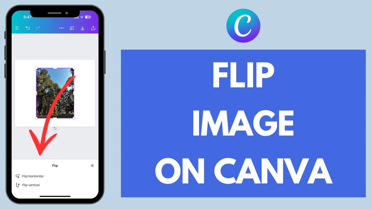 How to Flip Image in Canva 2024 (QUICK & EASY!) | Rotate Images in ...