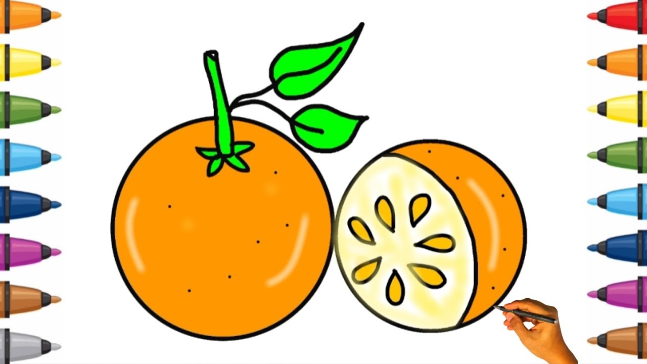 How to Draw an Orange || easy orange drawing || Orange Drawing ...