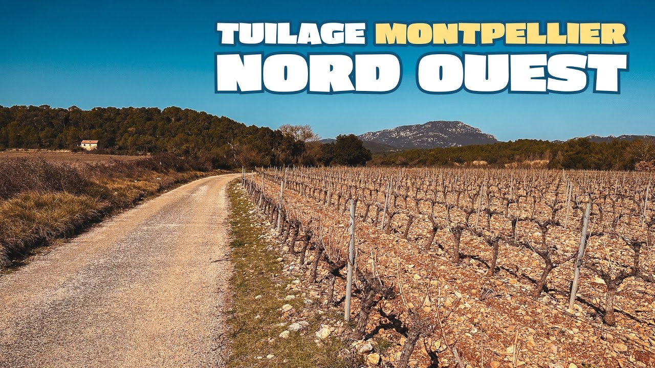 Tuilage Gravel du nord-ouest de Montpellier - YouTube