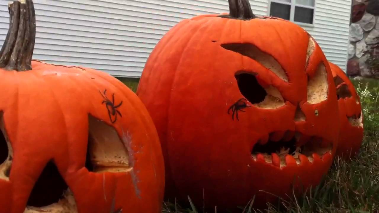 Pumpkins Attack... (Trailer) - YouTube