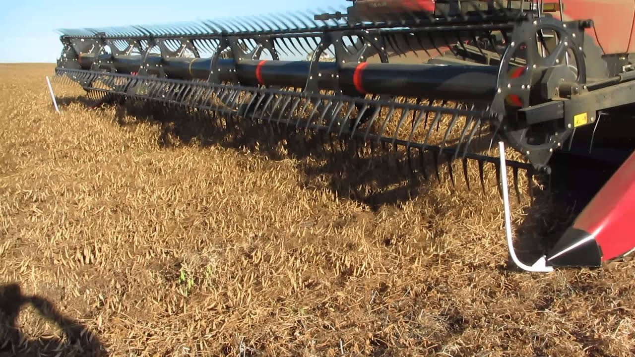 Harvest 2013 - Combining Peas - YouTube