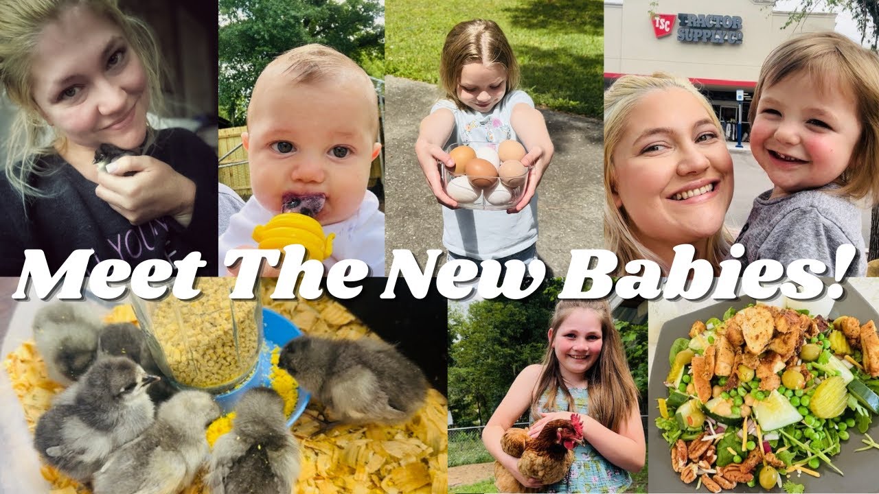 Weekend In My Life Vlog: Tractor Supply, Baby Chicks, Dinner // SPEND ...