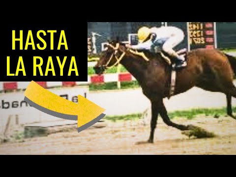 LO MEJOR de DON FABIAN - Gran caballo que se ganó el corazón de todos ...