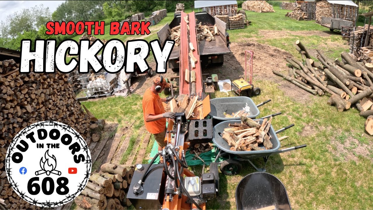 Splitting Hickory Firewood The Easy Way‼️ - YouTube