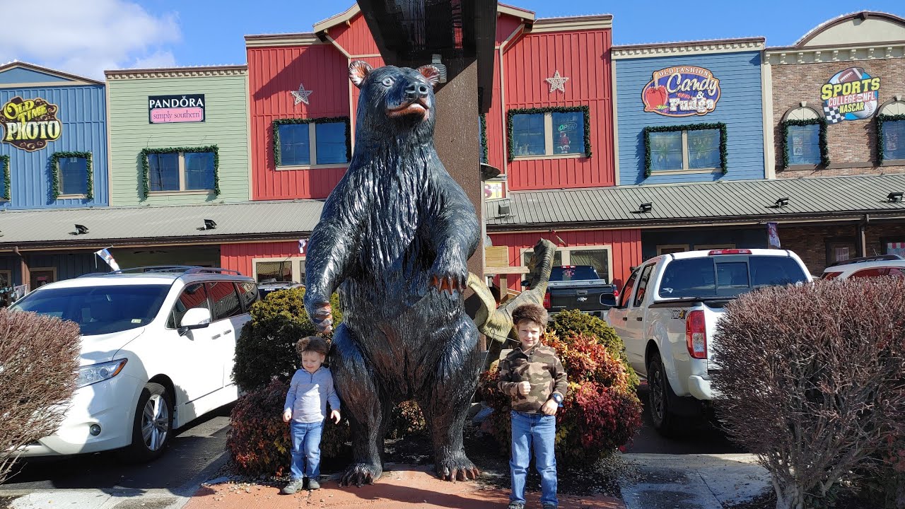 Three Bears General Store Tour w/ BEAR FEEDING - Pigeon Forge, TN - YouTube