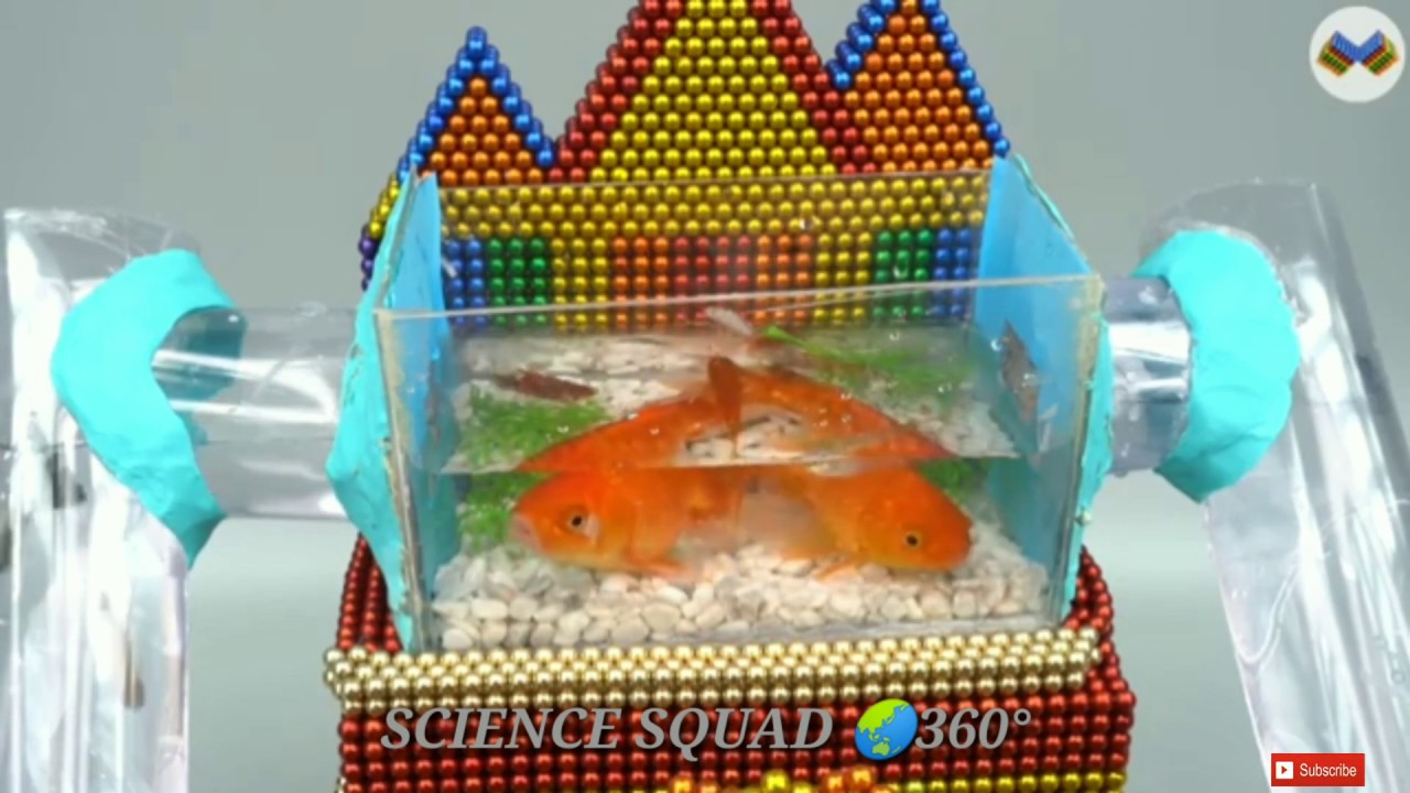 DIY-5 amazing magnet/ Science skills/ Science experiment - YouTube