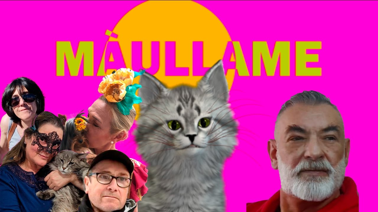 MAULLAME ESPECIAL con Paco De Narvaez - YouTube