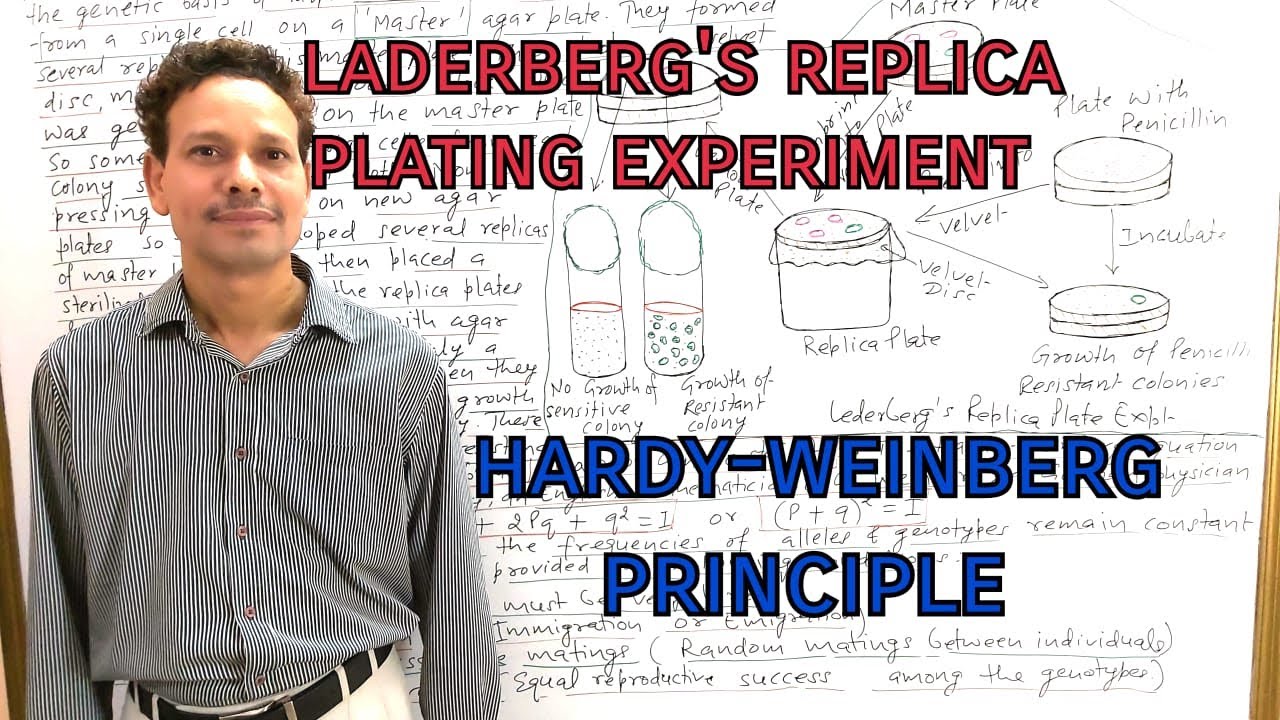 Laderberg's Replica Plating Experiment + Hardy-Weinberg Principle | For ...