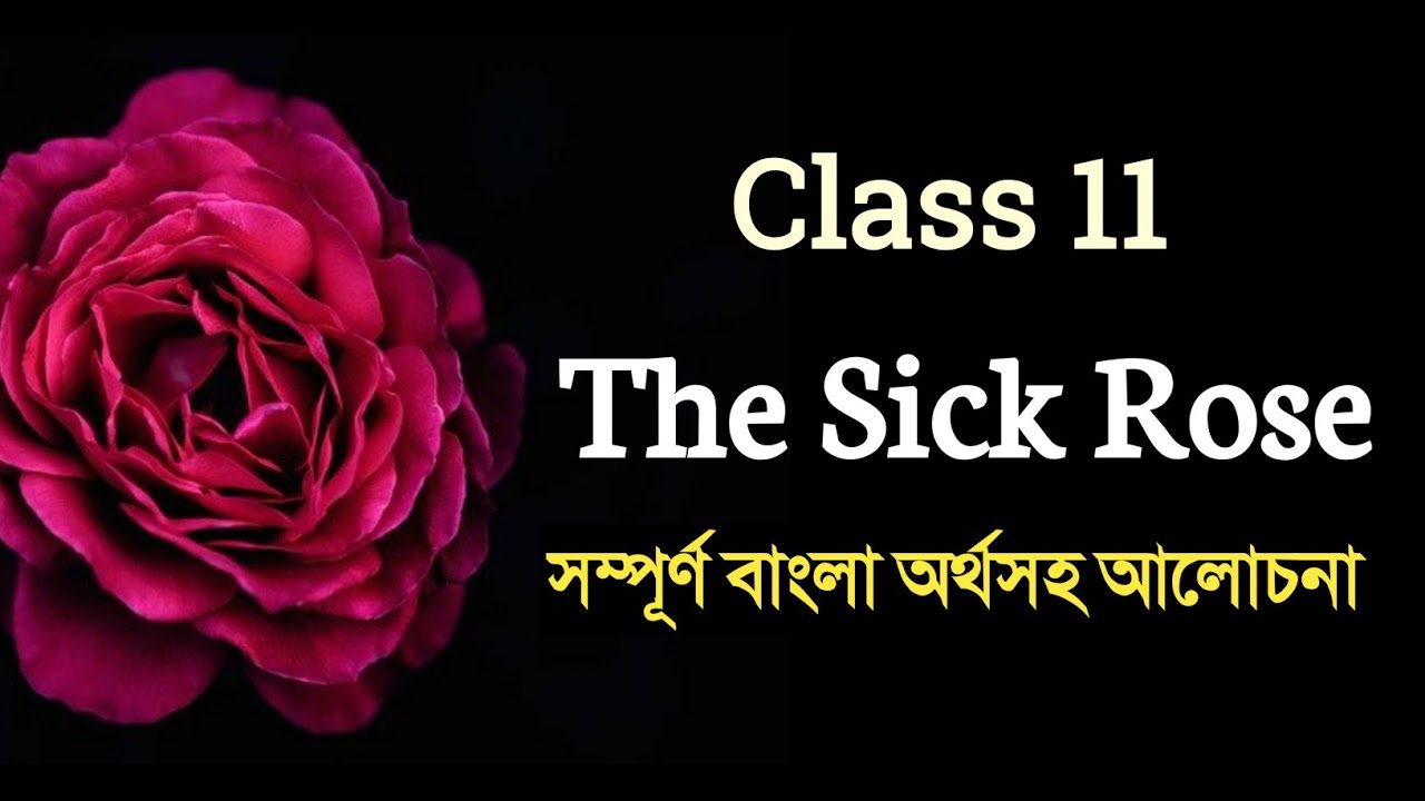 The Sick Rose By William Blake Class 11 Poem Sick Rose With Bengali the-sick-rose-by-william-blake-class-11-poem-sick-rose-with-bengali