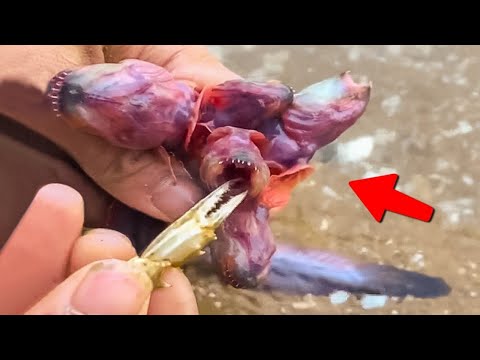 Kameralara Yakalanmasaydı Asla İnanmayacağınız 30 Olay