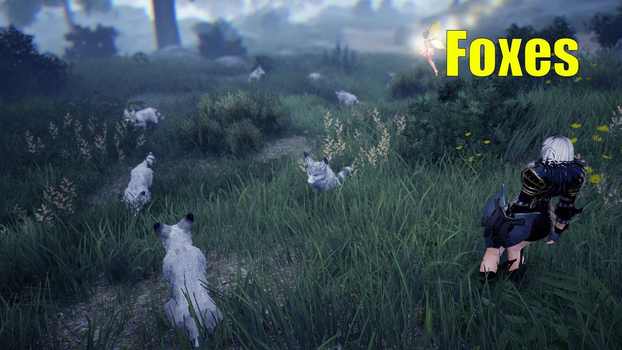 Fox rotation at Forest of seclusion | Black desert online - YouTube