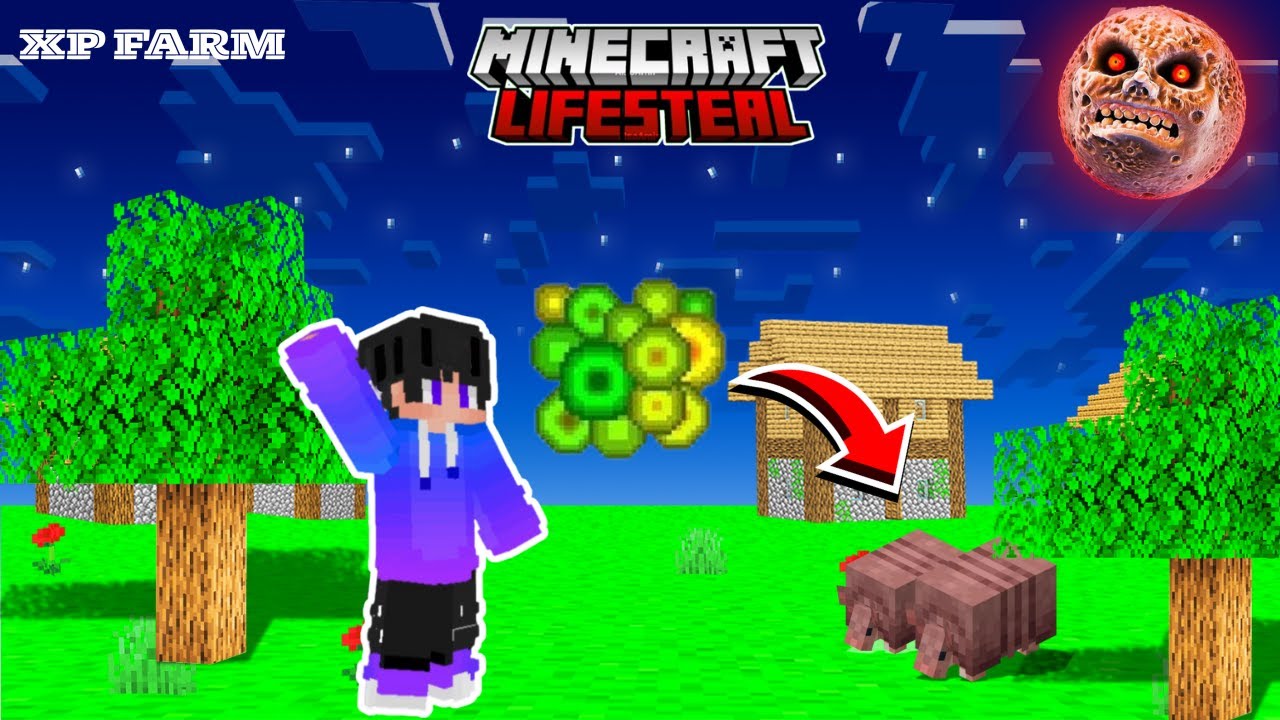 Making This Ultimate XP Farm Using Armadillo's In Life Steal SMP ...