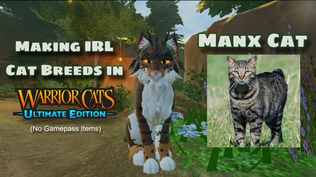 Making IRL Cats into WCUE Morphs | Manx-Cat - YouTube