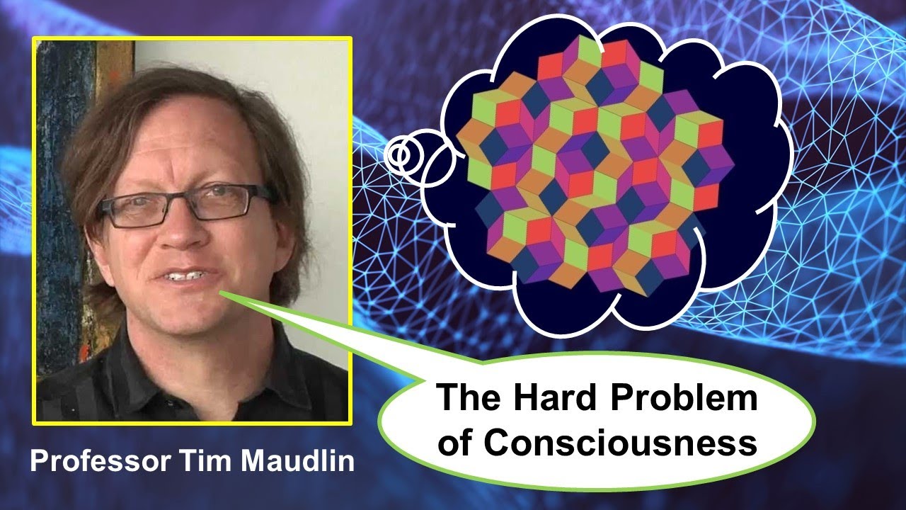 Tim Maudlin on the Hard Problem of Consciousness - YouTube