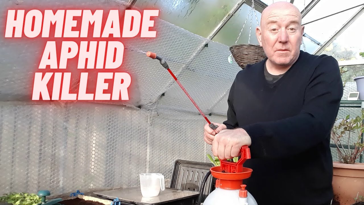 Homemade Aphid Killer [Gardening Allotment UK] [Grow Vegetables At Home ] - YouTube