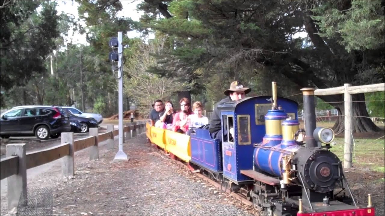 Diamond Valley Railway Visiting Engine Part 2: Blue Gum - YouTube