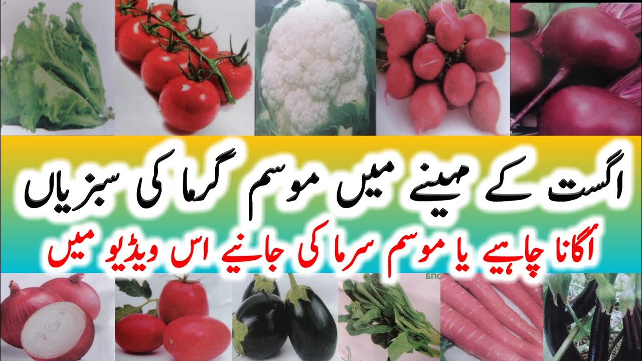 August me konsi sabji lagaye|August me lagai jane vali sabjiyan|August ...