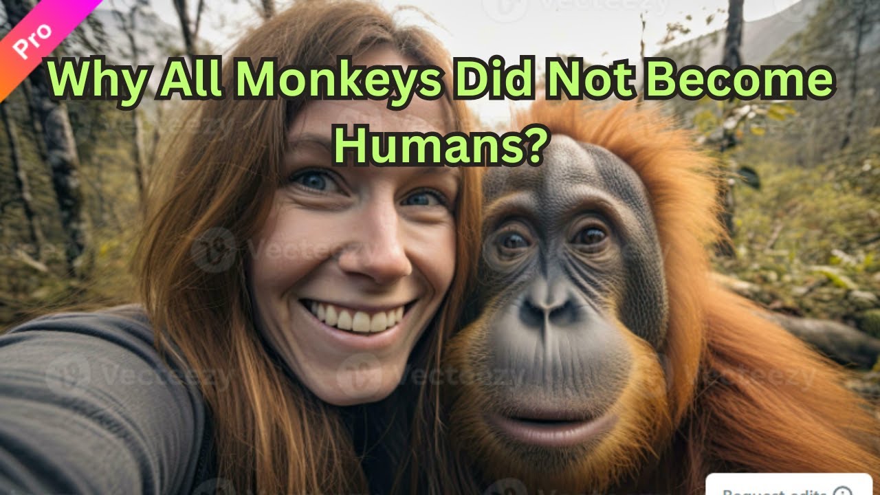 Why there are still monkeys 🐒? || Easily Explained - YouTube