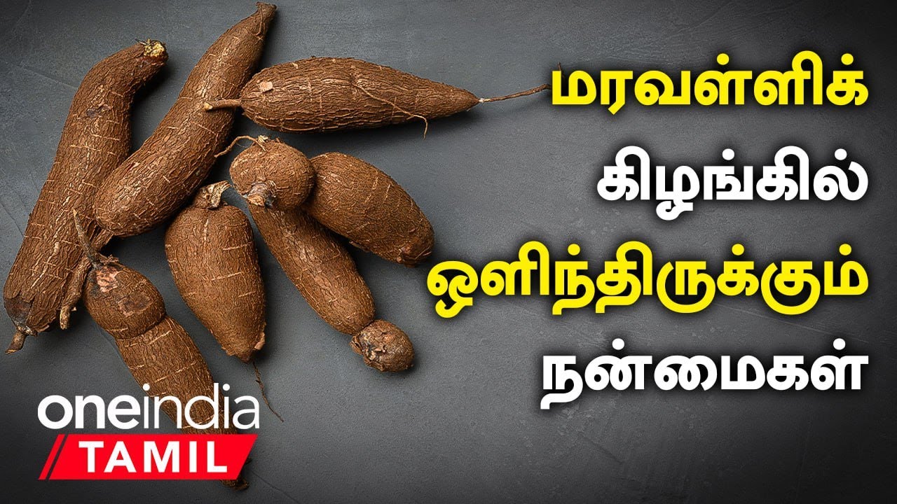 மரவள்ளிக் கிழங்கில் உள்ள மருத்துவப்பயன்கள் | Maravalli Kizhangu Health ...