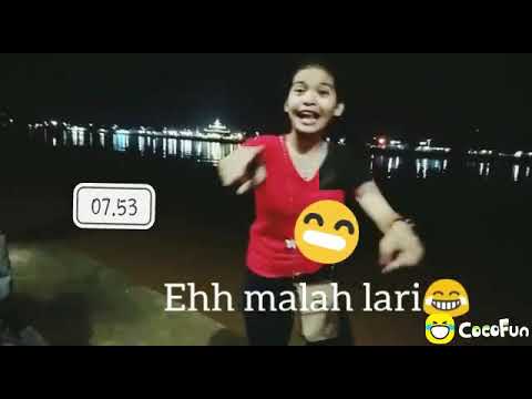 Cewe sange