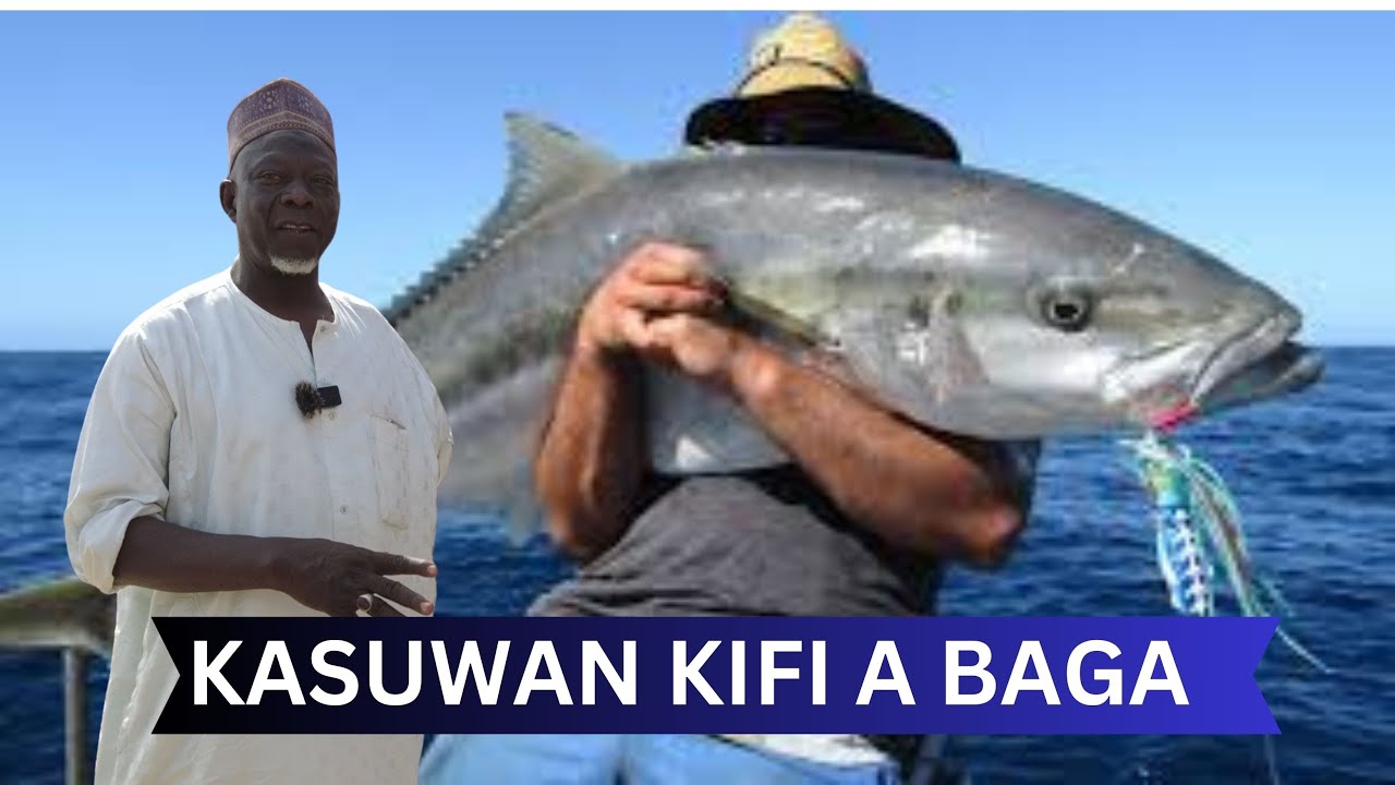 Kifi Daga Borno's Top 3 Lake Chad Fish You Never Knew Existed! - YouTube