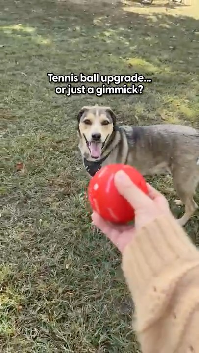 Is This Automatic Ball A Gimmick? | The Pack - YouTube