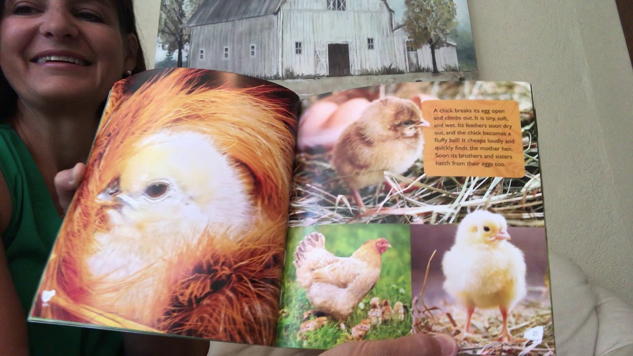 Farm Babies - YouTube