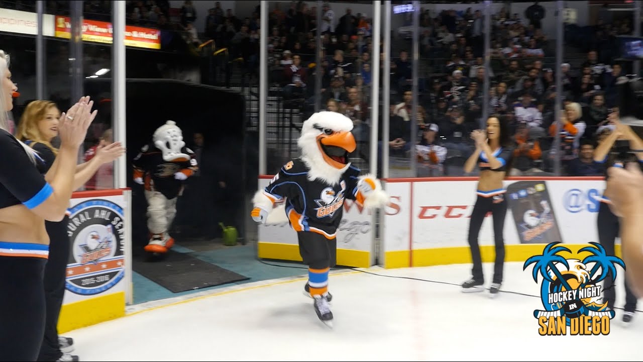 San Diego Gulls Mascot Gulliver is Unveiled - YouTube