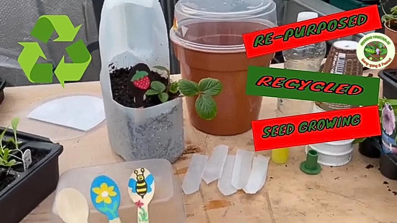 Grow Green: Planting Seeds In Recycled Plastic For A Greener Tomorrow ...